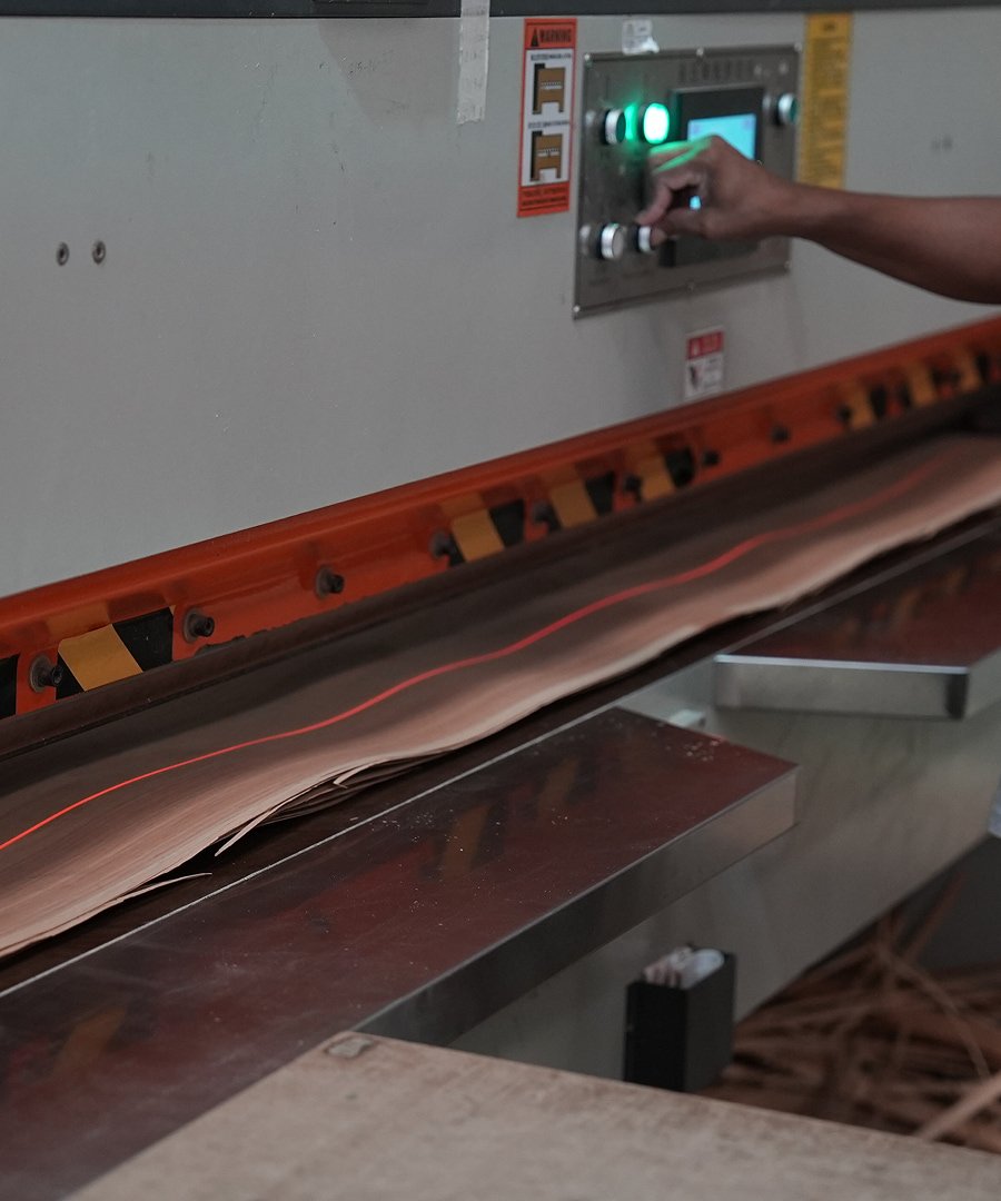 Wood Zone Timber Trading in Dubai – Best Timber Trader in Dubai